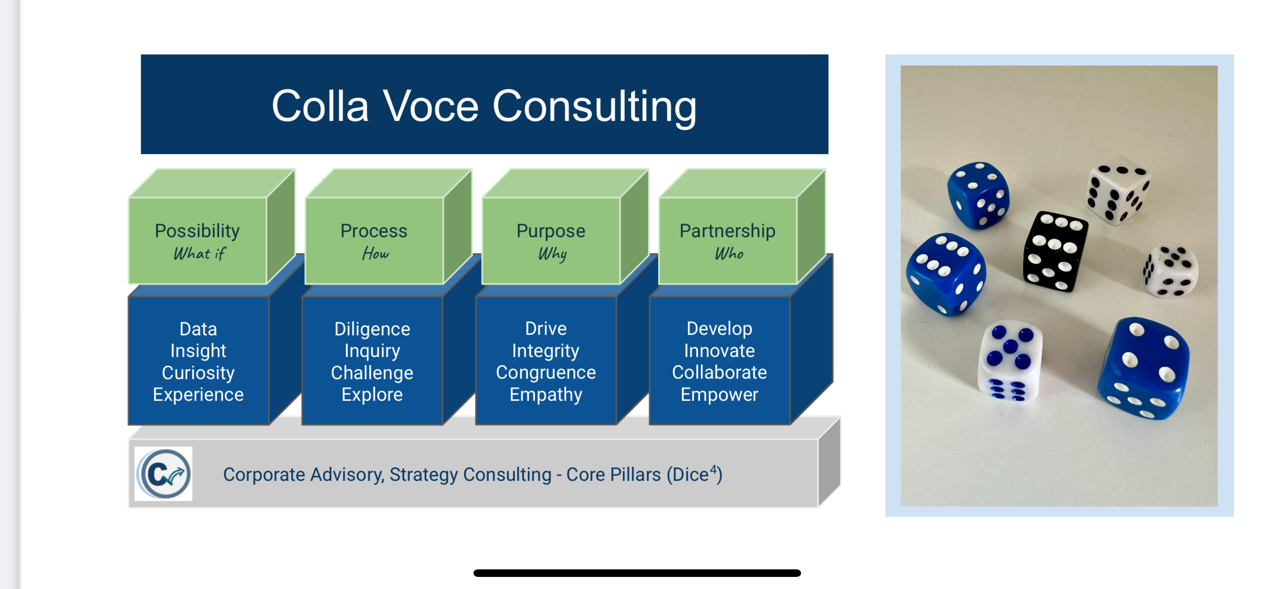 DICE Framework | Colla Voce Consulting